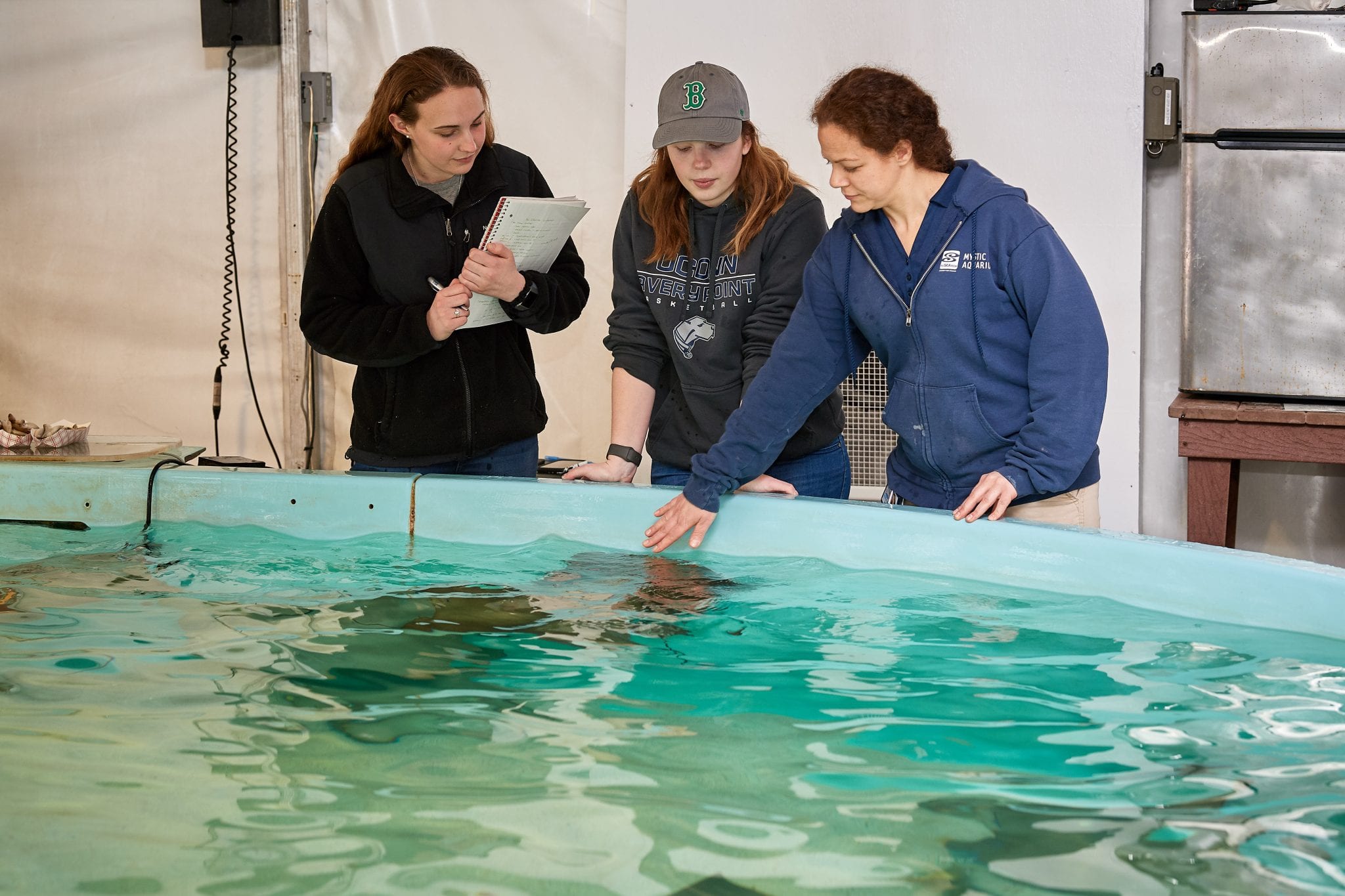 Pre-Vet: Marine Animal Health and Veterinary Science | UConn Pre ...