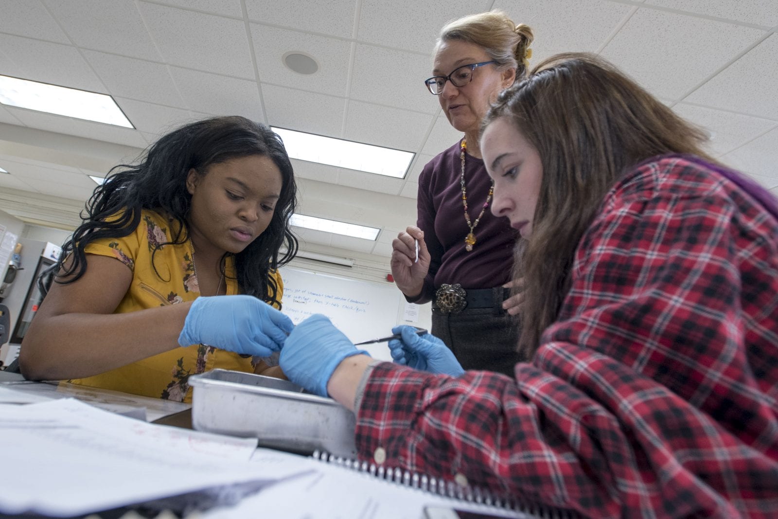 Biomedical Engineering: Exploring and Designing Biomedical Wearable ...