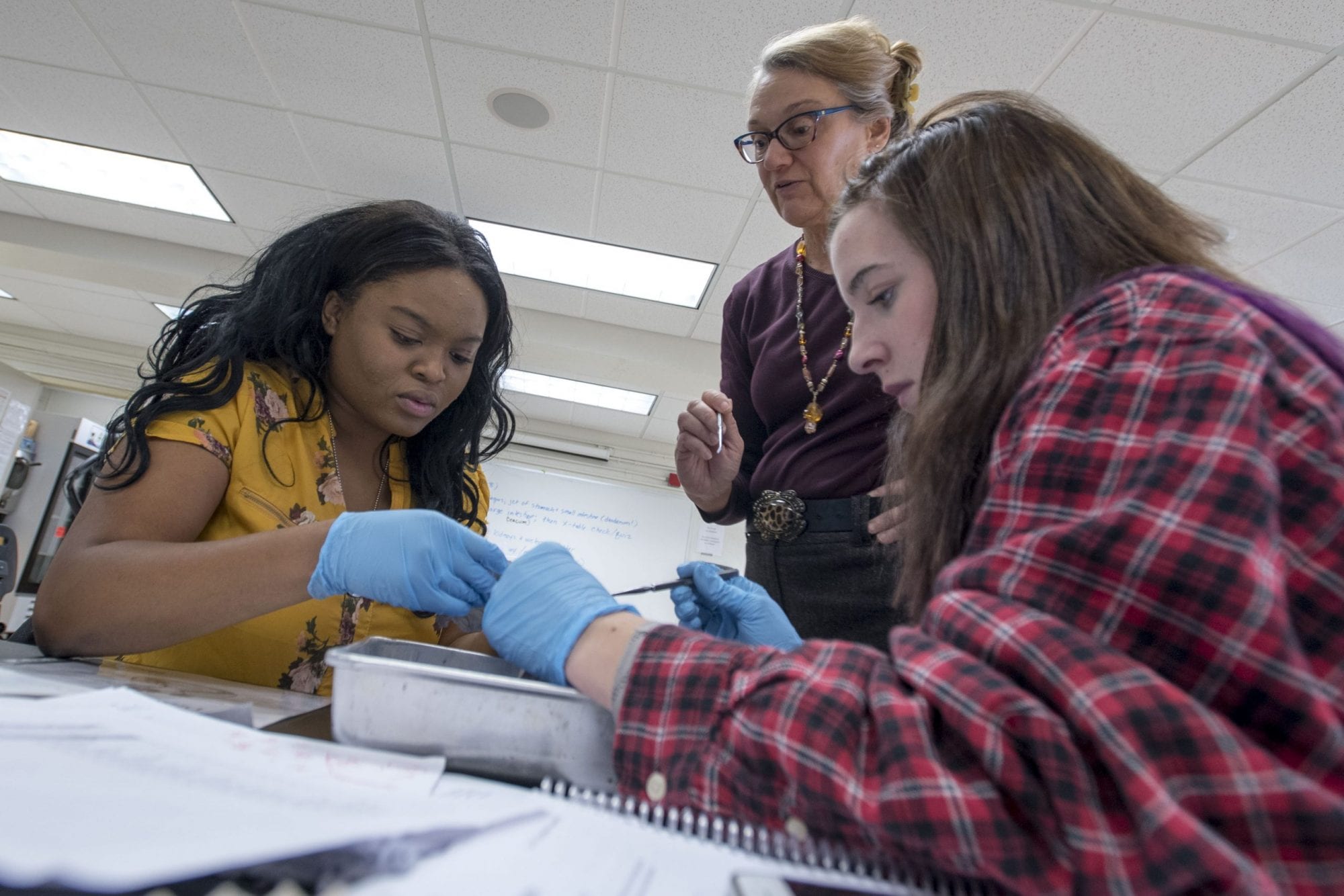 Biomedical Engineering: Exploring and Designing Biomedical Wearable ...