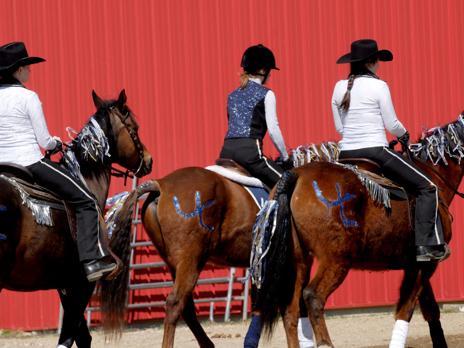 Things To Do | UConn Pre-College Summer