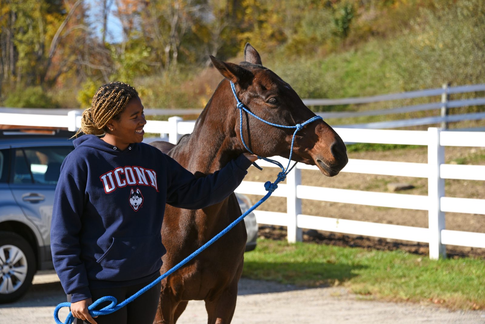 Introduction to Equine Science and Horsemanship | UConn Pre-College Summer