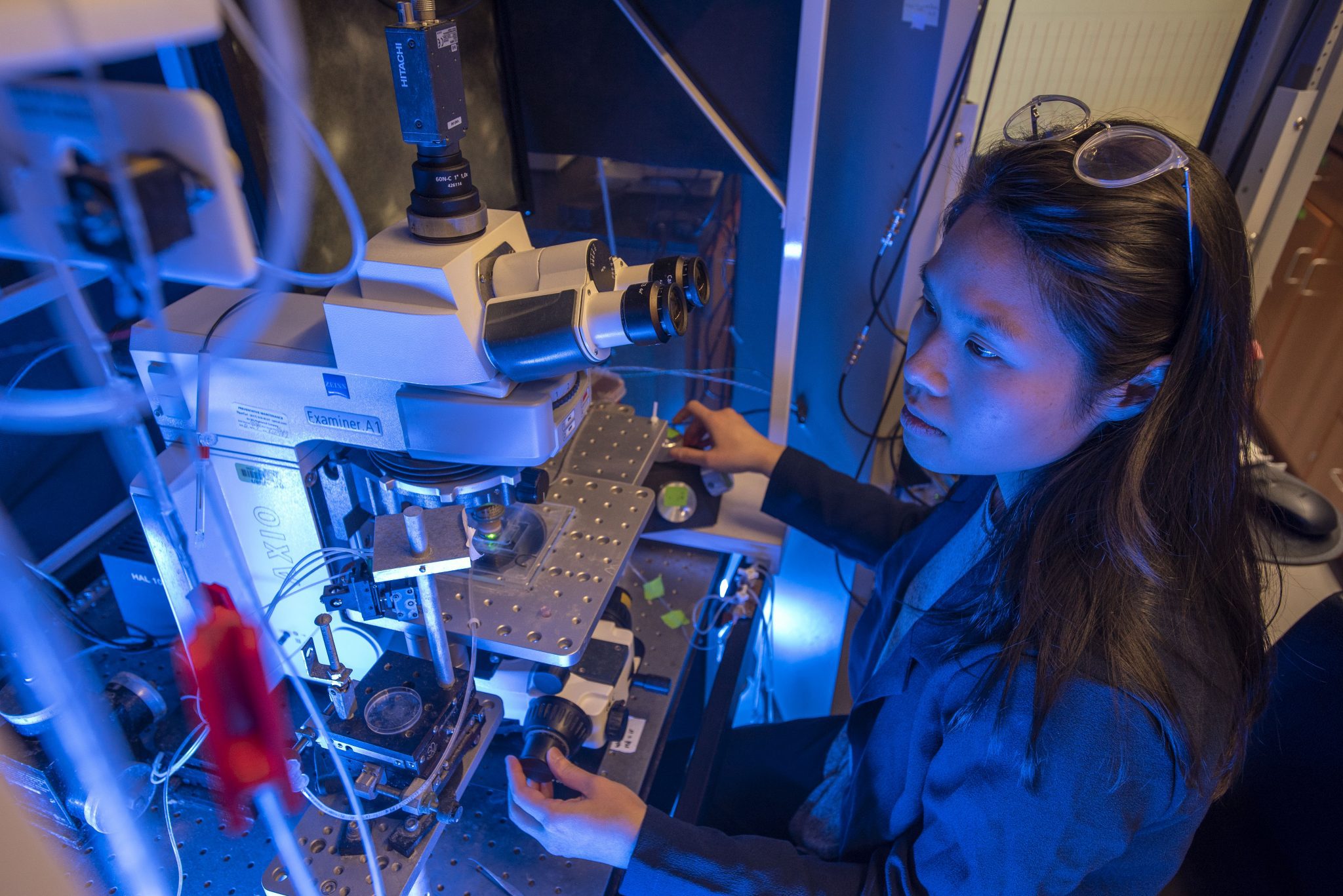 Artificial Intelligence in Biomedical Engineering | UConn Pre-College ...